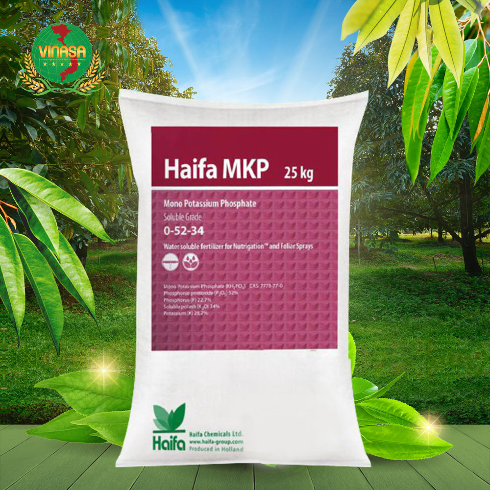 Phân bón MKP Haifa là sản phẩm được nhập khẩu từ Israel