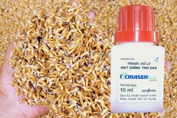 Thuốc Cruiser Plus 312.5FS - Xử lý hạt giống hiệu quả